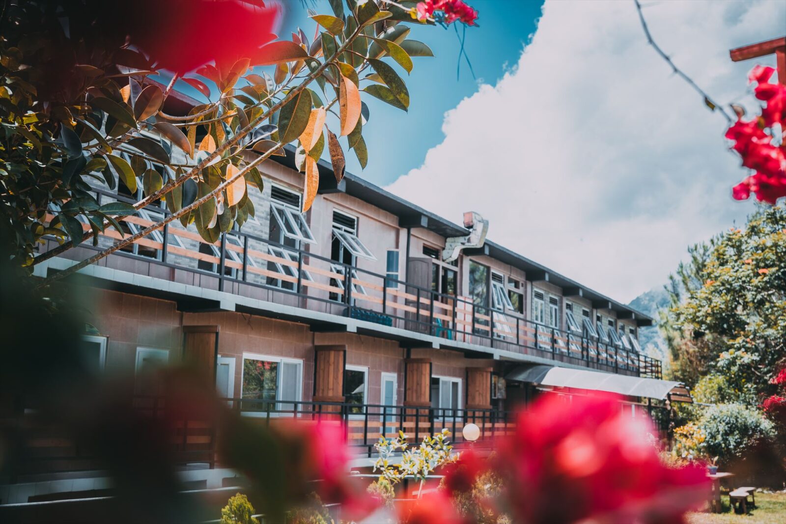 JIC Baguio プレミアムキャンパス - 成果が上がるフィリピン留学