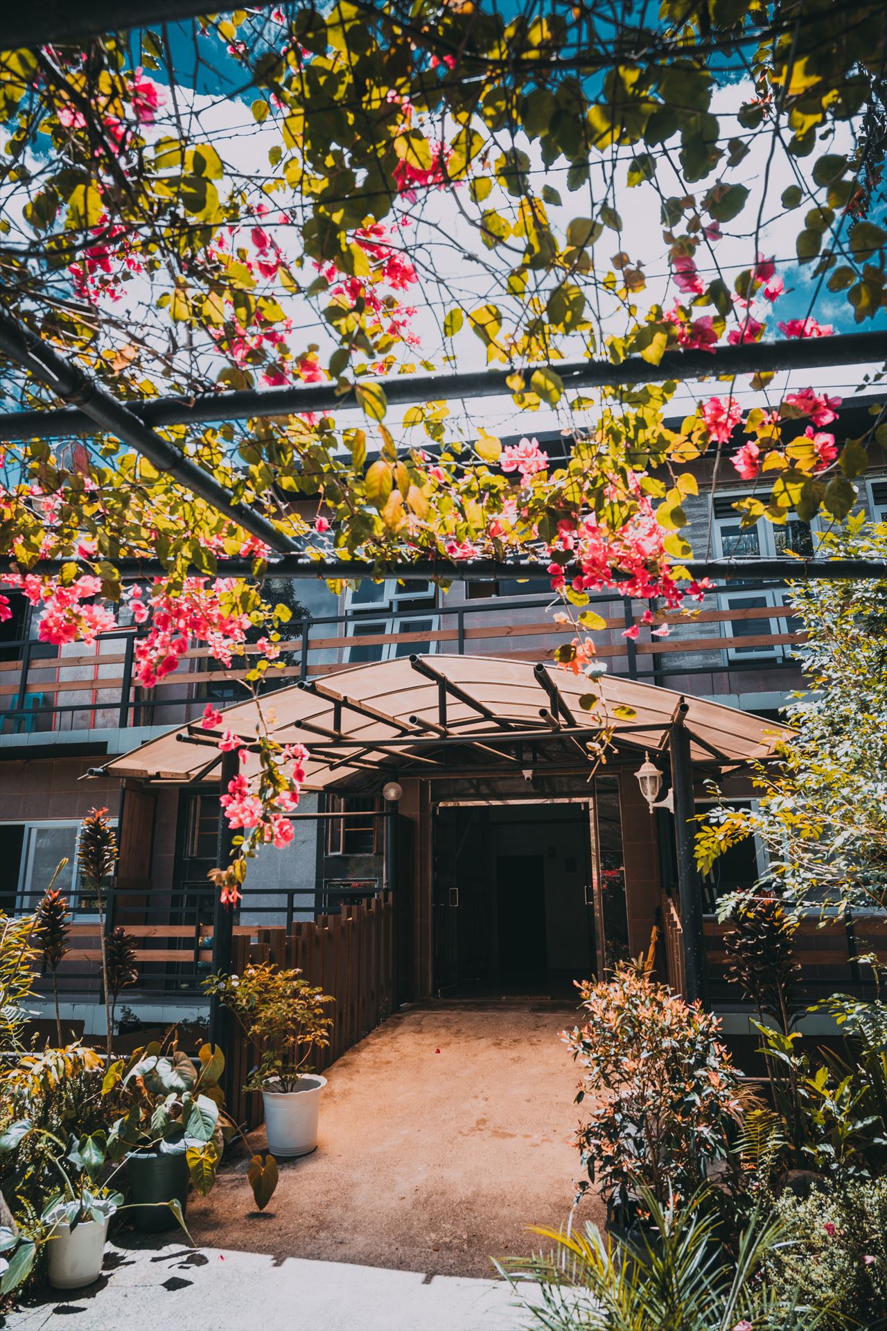 JIC Baguio プレミアムキャンパス - 成果が上がるフィリピン留学